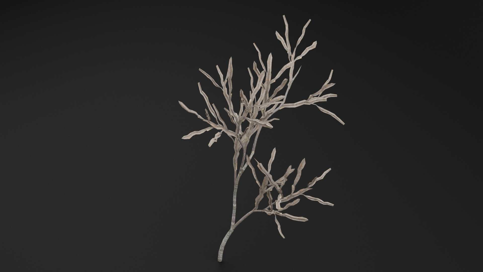 Rose Hip Plant - 3D Model by Green Lander