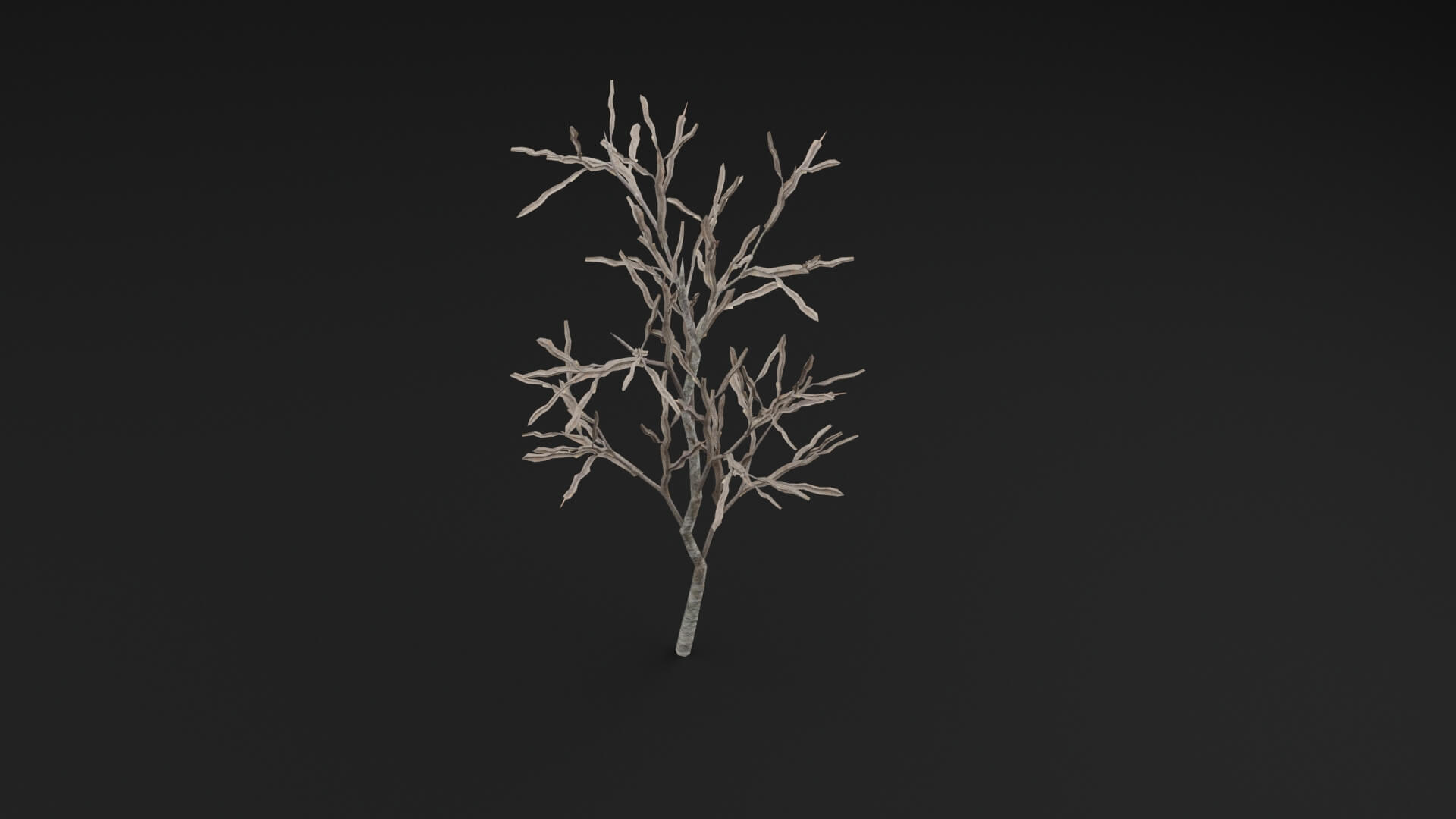 Rose Hip Plant - 3D Model by Green Lander