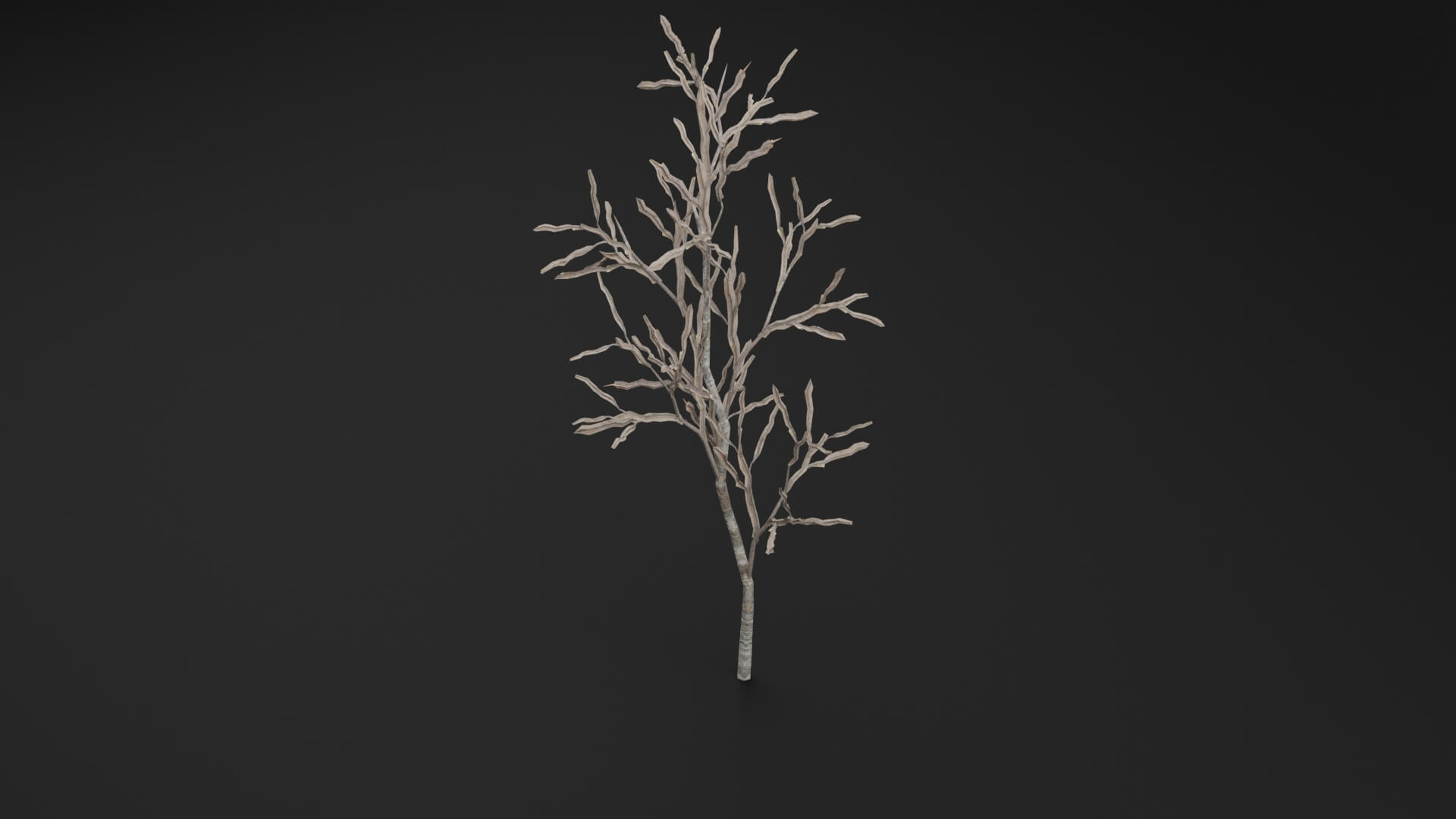 Rose Hip Plant - 3D Model by Green Lander