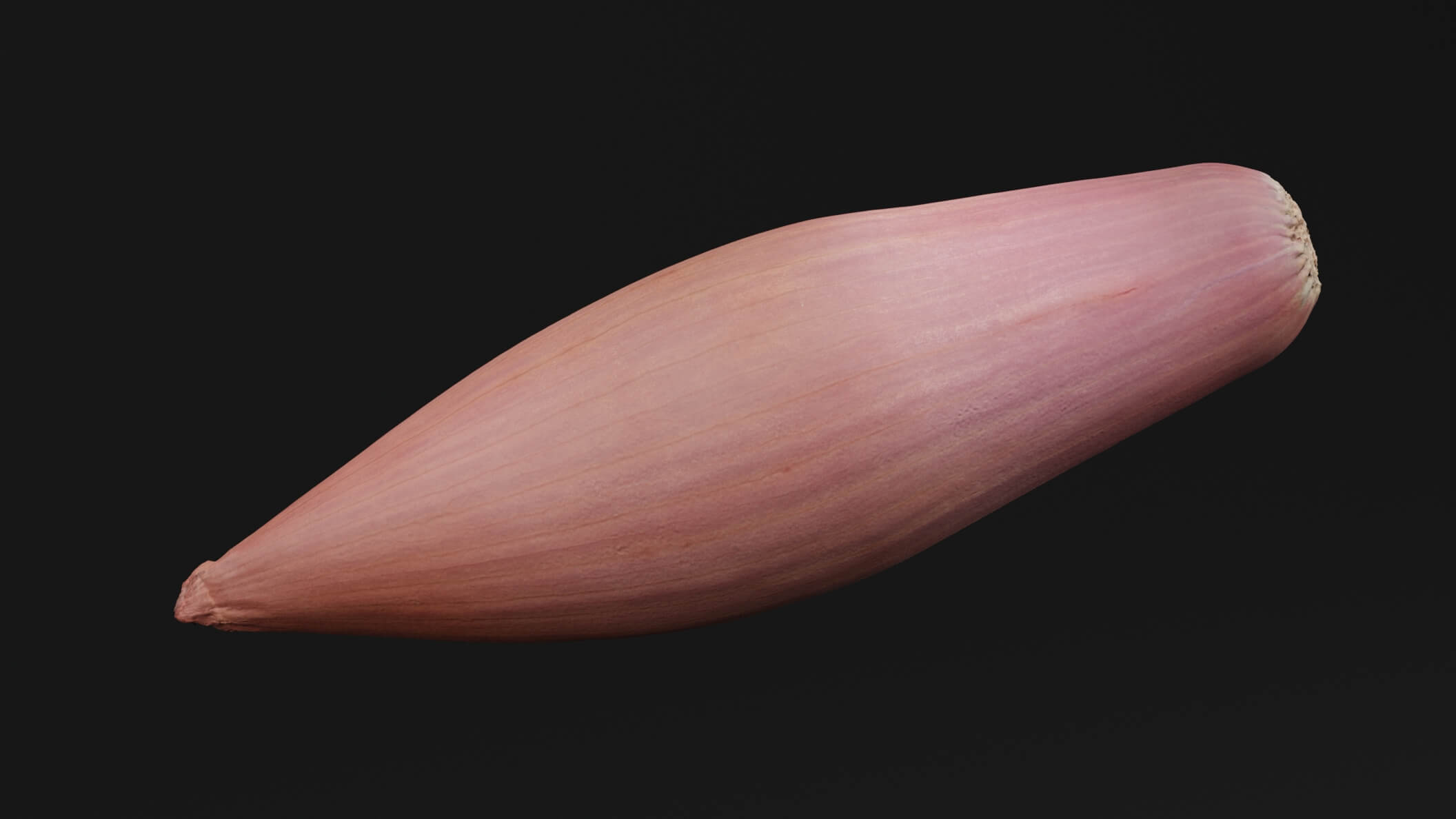 Shallot Vegetable - 3D Model by Green Lander