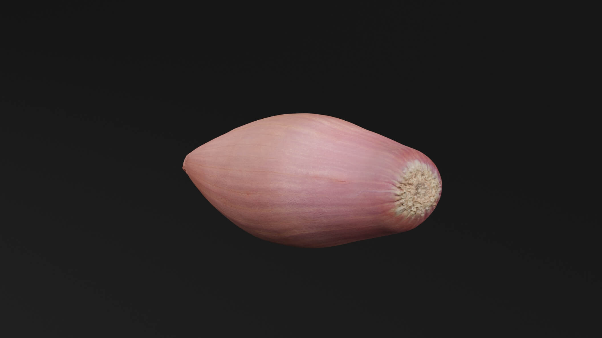 Shallot Vegetable - 3D Model by Green Lander