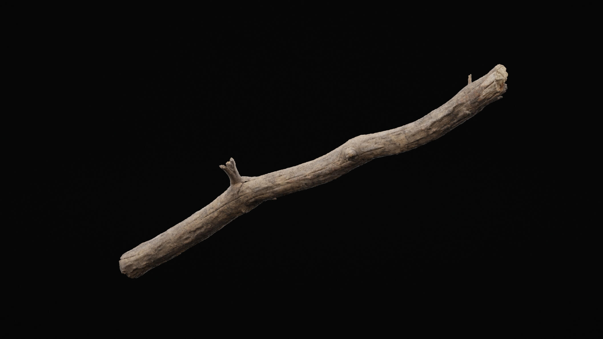 Realistic Tree Branch - 3D Model by Green Lander