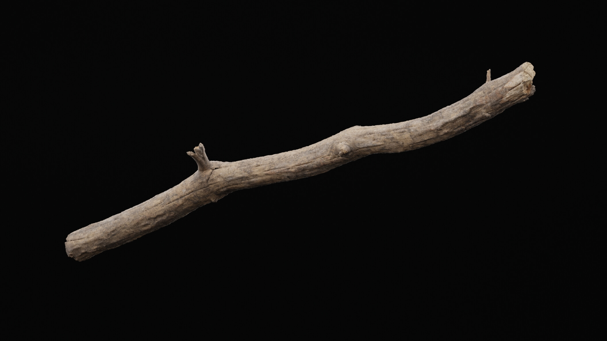 Realistic Tree Branch - 3D Model by Green Lander