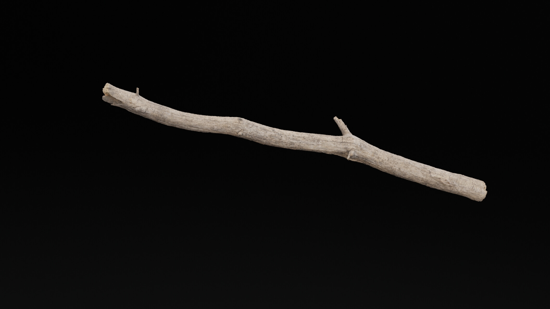 Realistic Tree Branch - 3D Model by Green Lander