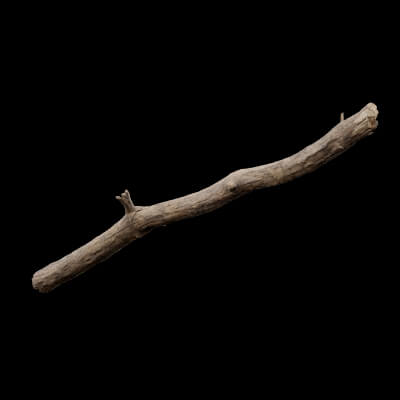 Realistic Tree Branch - 3D Model by Green Lander