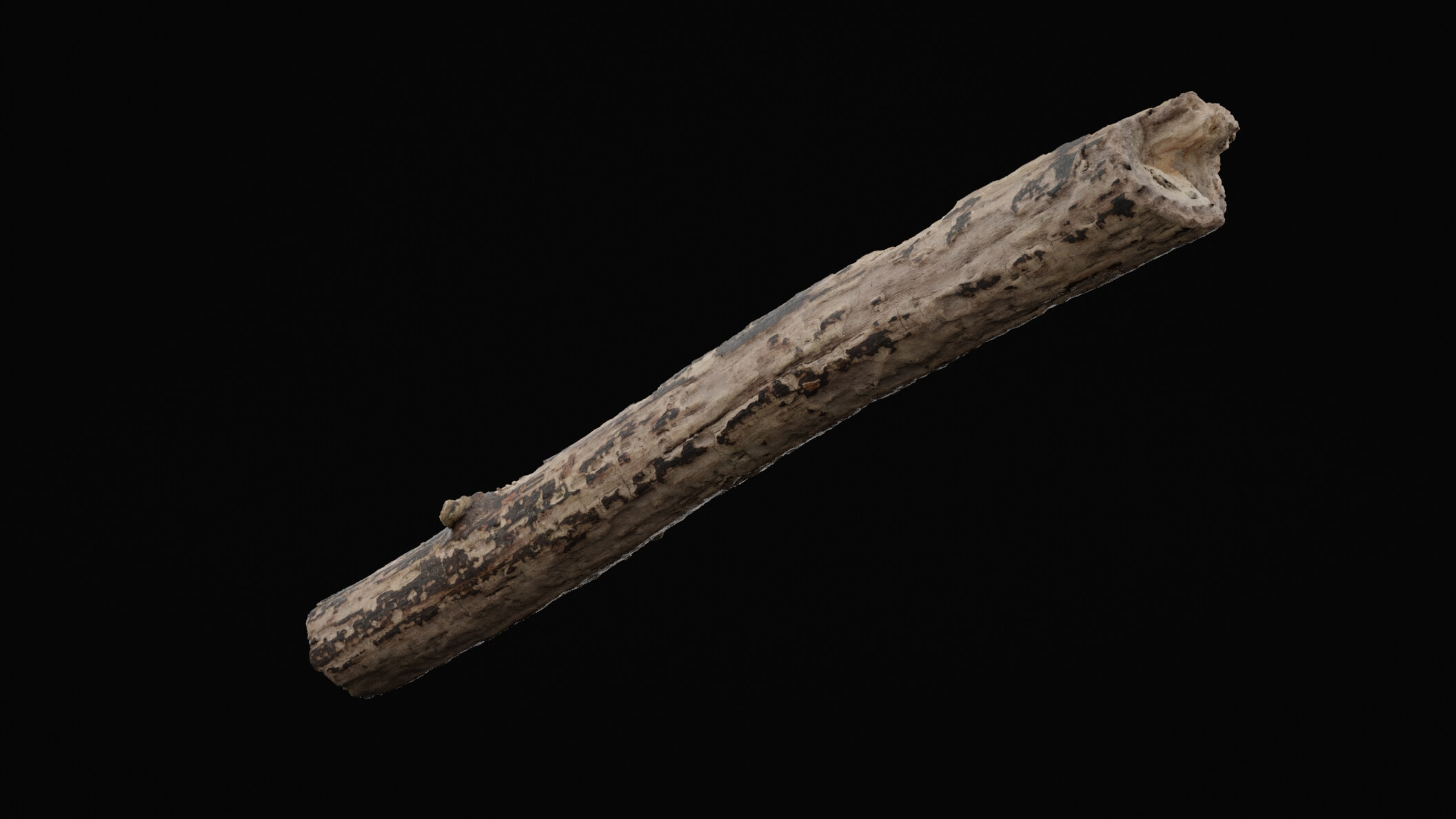 Tree Debris Branch - 3D Model by Green Lander