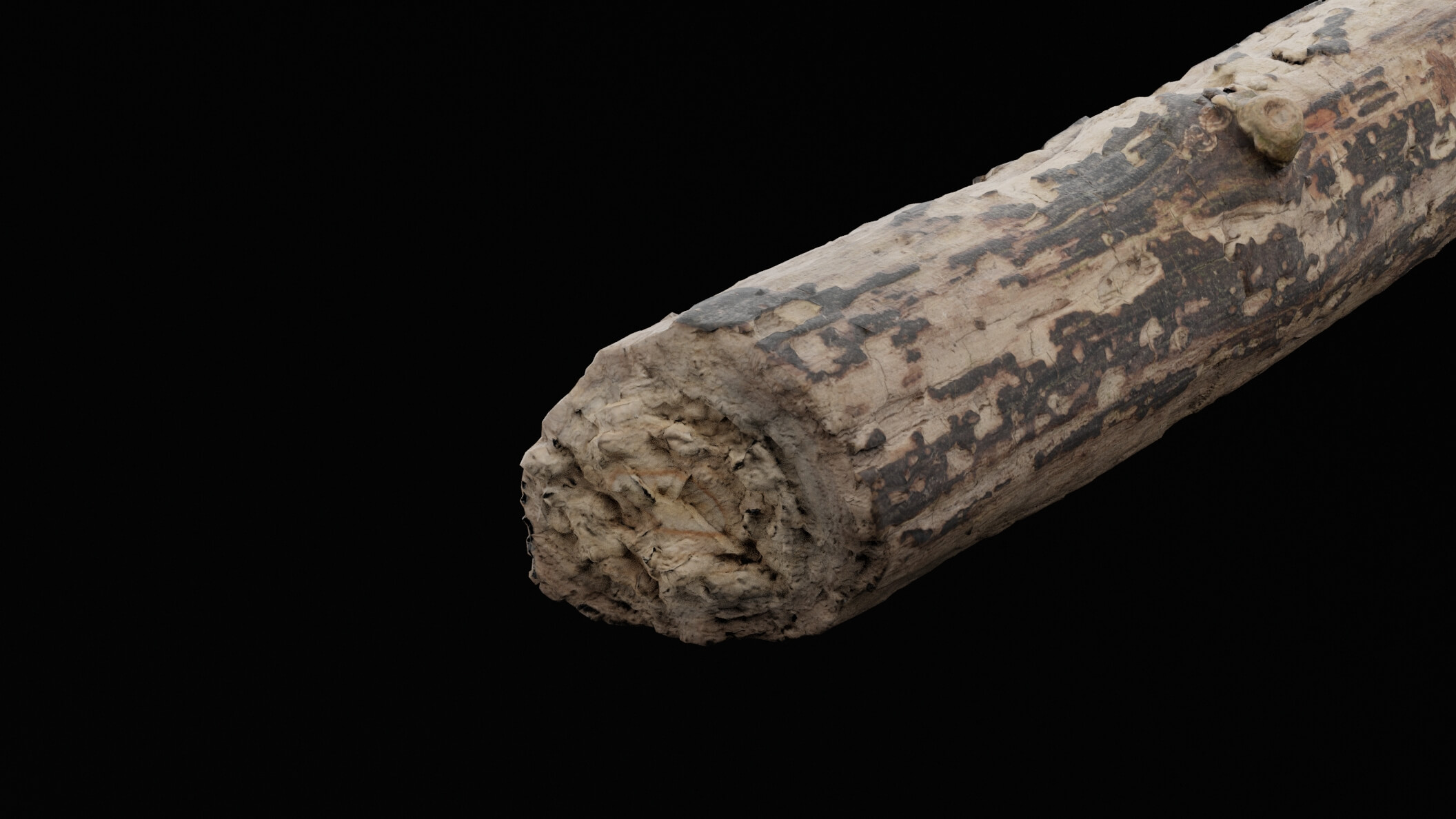 Tree Debris Branch - 3D Model by Green Lander