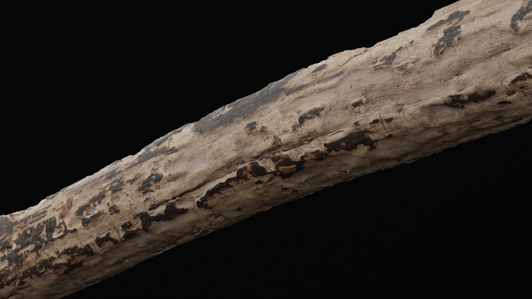 Tree Debris Branch - 3D Model by Green Lander