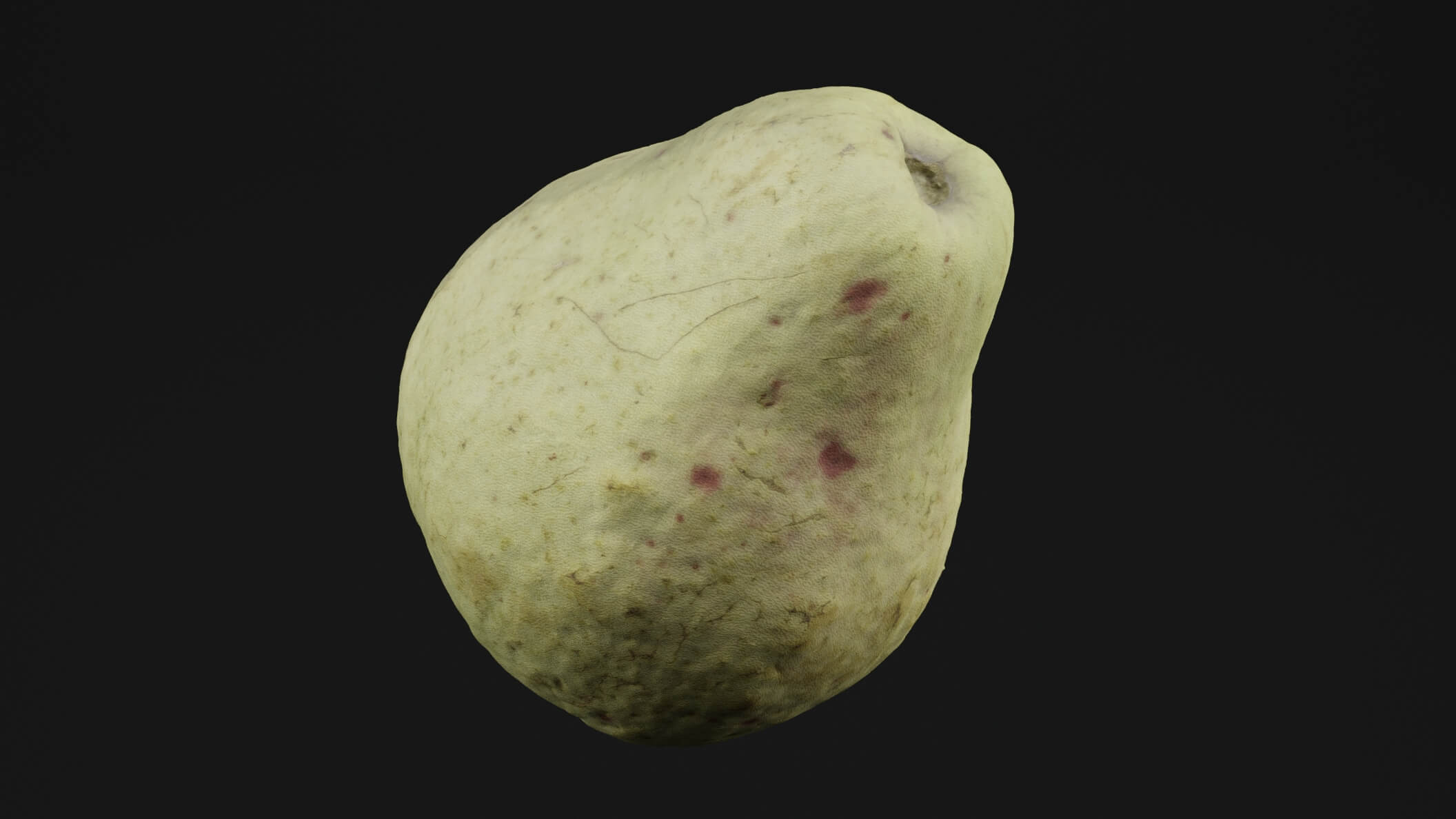 Tropical Guava Fruit - 3D Model by Green Lander