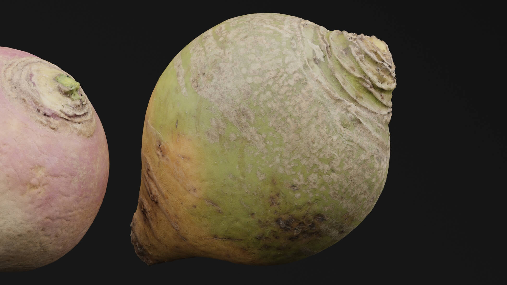 Turnip Vegetable - 3D Model by Green Lander