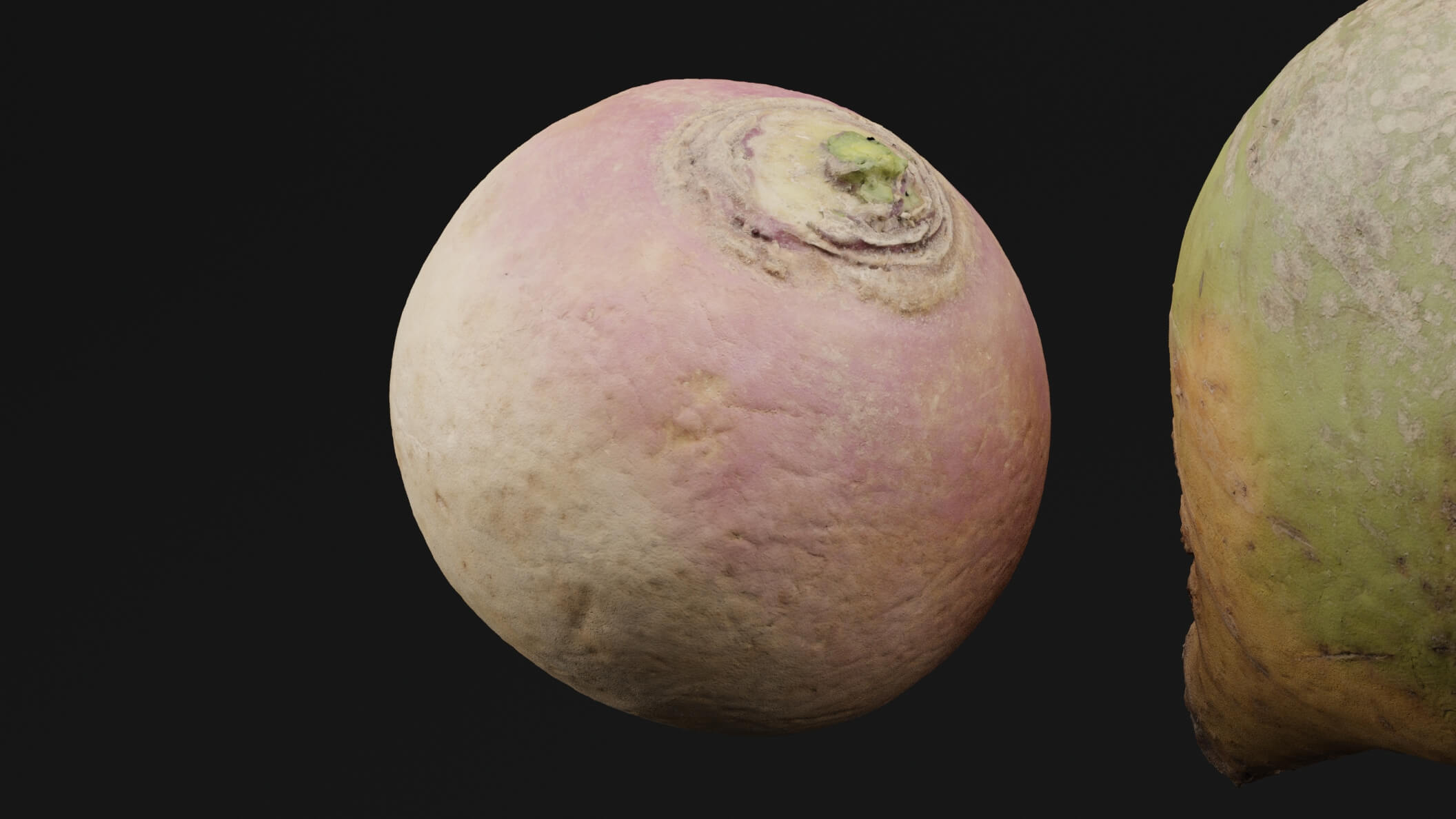 Turnip Vegetable - 3D Model by Green Lander