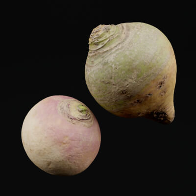 Turnip Vegetable - 3D Model by Green Lander
