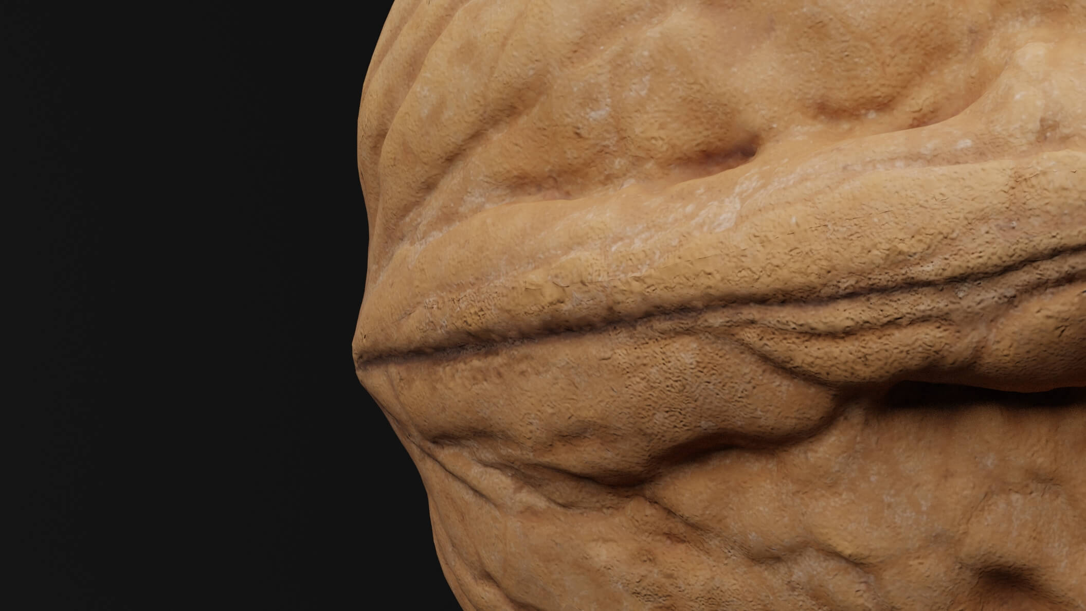 Walnut Fruit Nuts - 3D Model by Green Lander