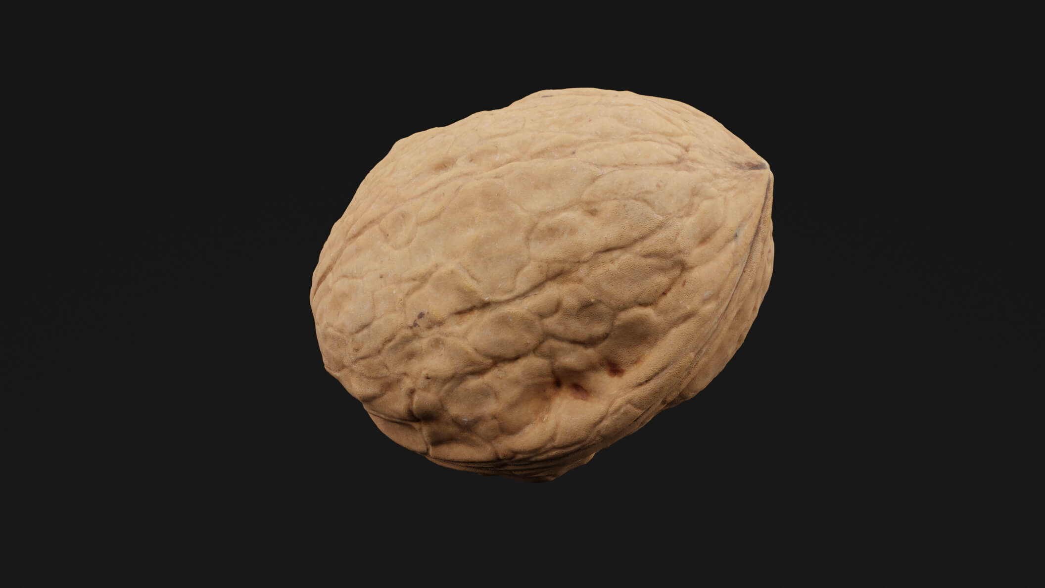 Walnut Fruit Nuts - 3D Model by Green Lander