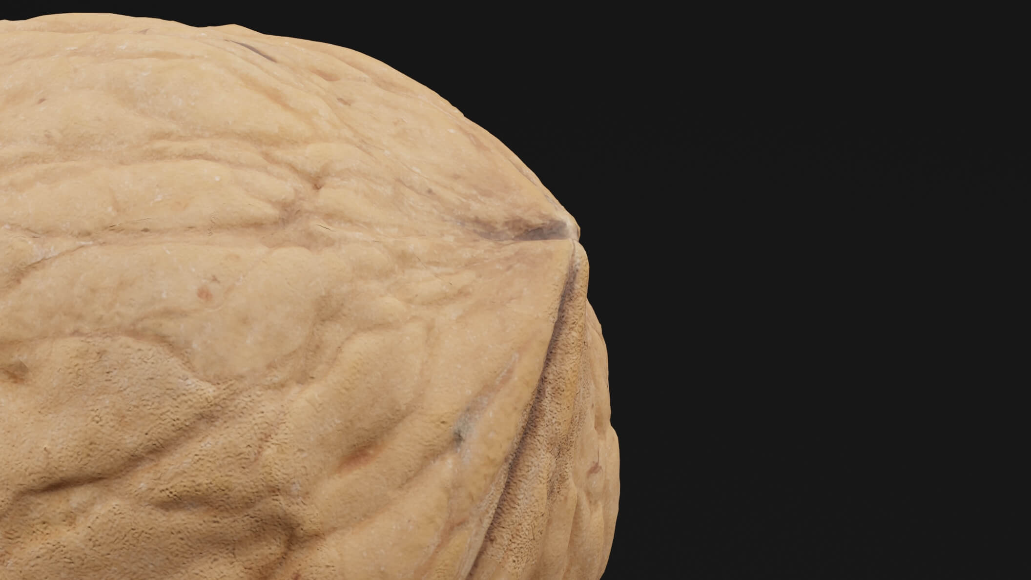 Walnut Fruit Nuts - 3D Model by Green Lander