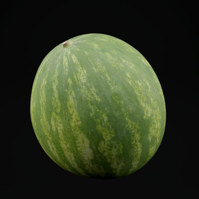Watermelon Fruit - 3D Model by Green Lander