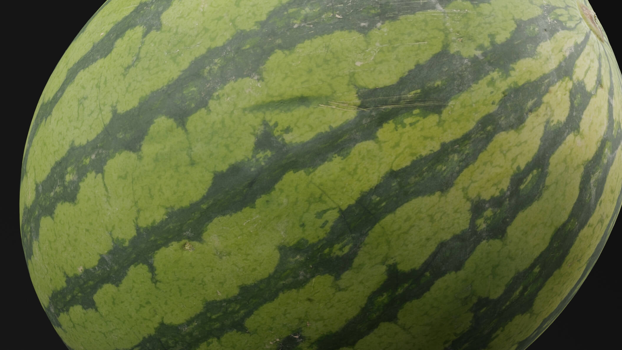 Watermelon Fruit - 3D Model by Green Lander