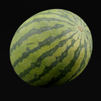 Watermelon Fruit - 3D Model by Green Lander