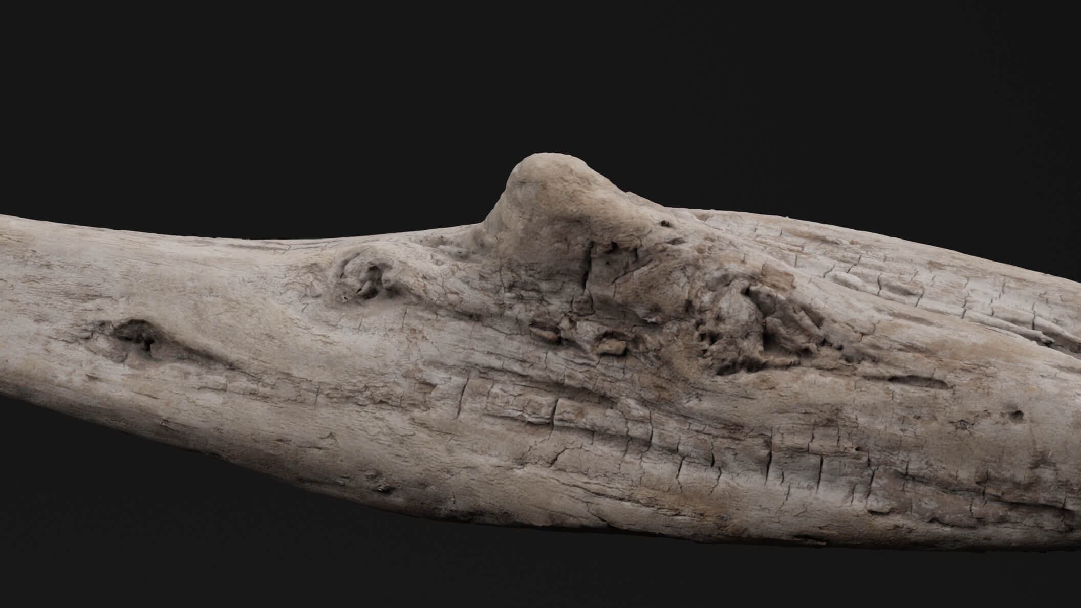 Wooden Stick - 3D Model by Green Lander