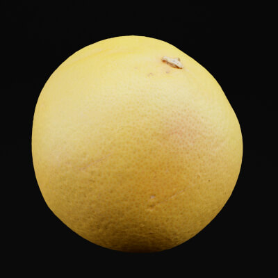 Yellow Grapefruit - 3D Model by Green Lander