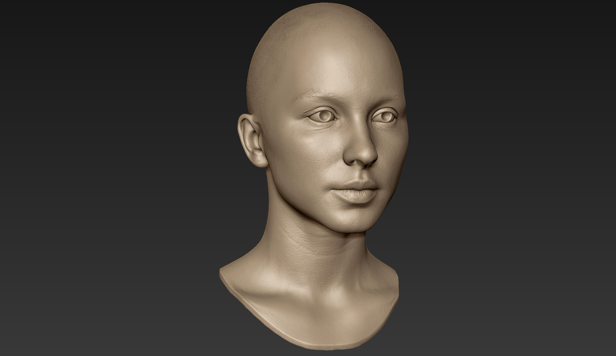 3D Print Female Head 16 by grihaos001