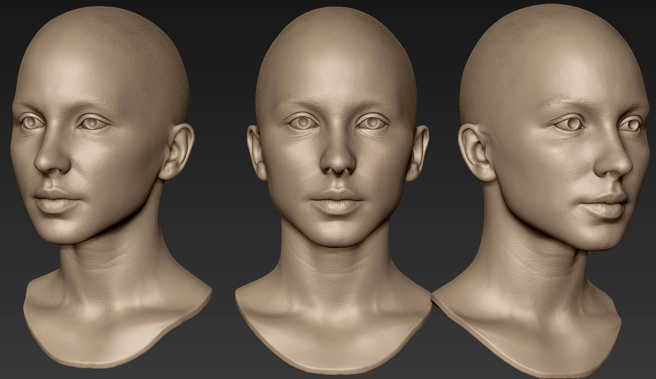 3D Print Female Head 16 by grihaos001