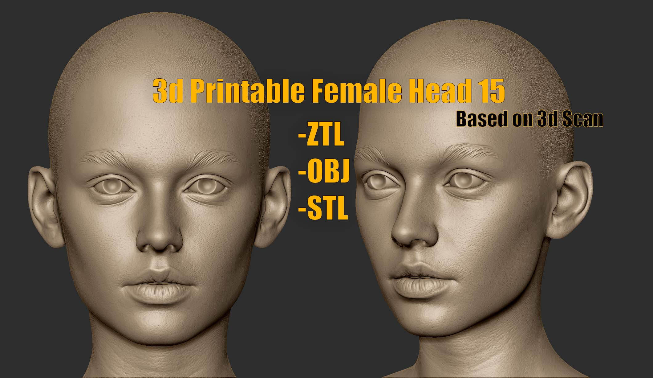 3D Printable Female Head 15 by grihaos001