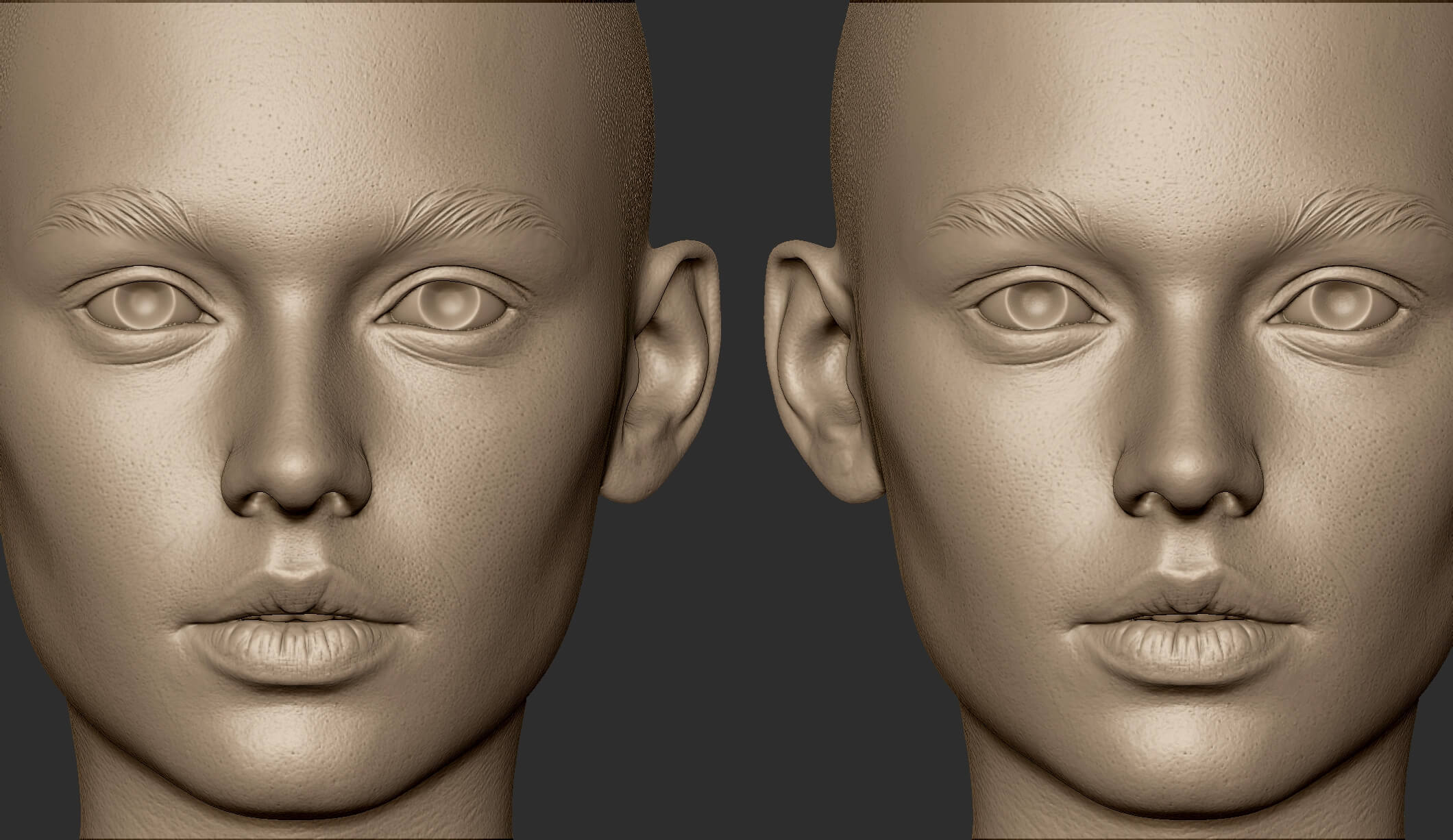 Female Face Reference For 3d Modeling Female Face Reference For 3d