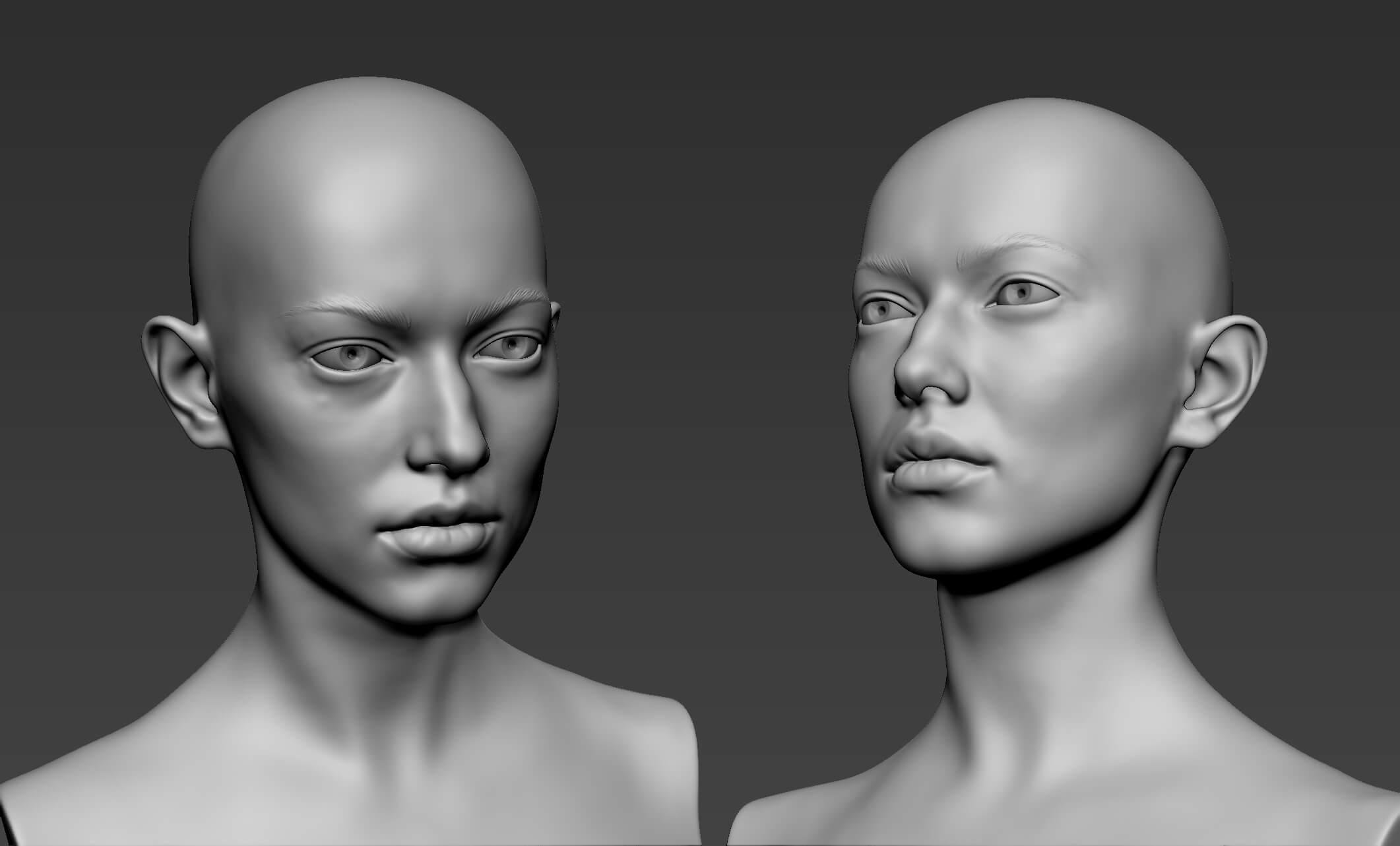 Female Upper Body Sculpt - 3D Print Model by grihaos001