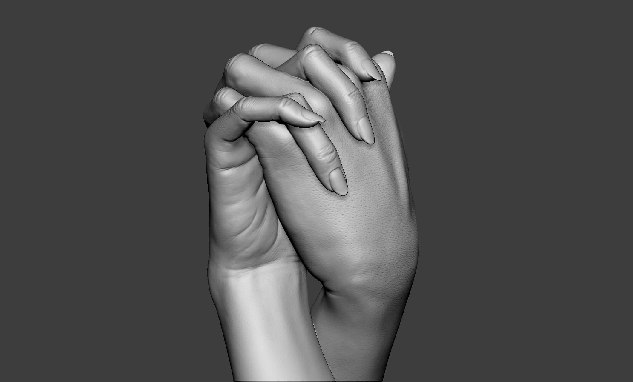 2 X Male And Female 3d Hand Models White 40 Years Old GOT BAG