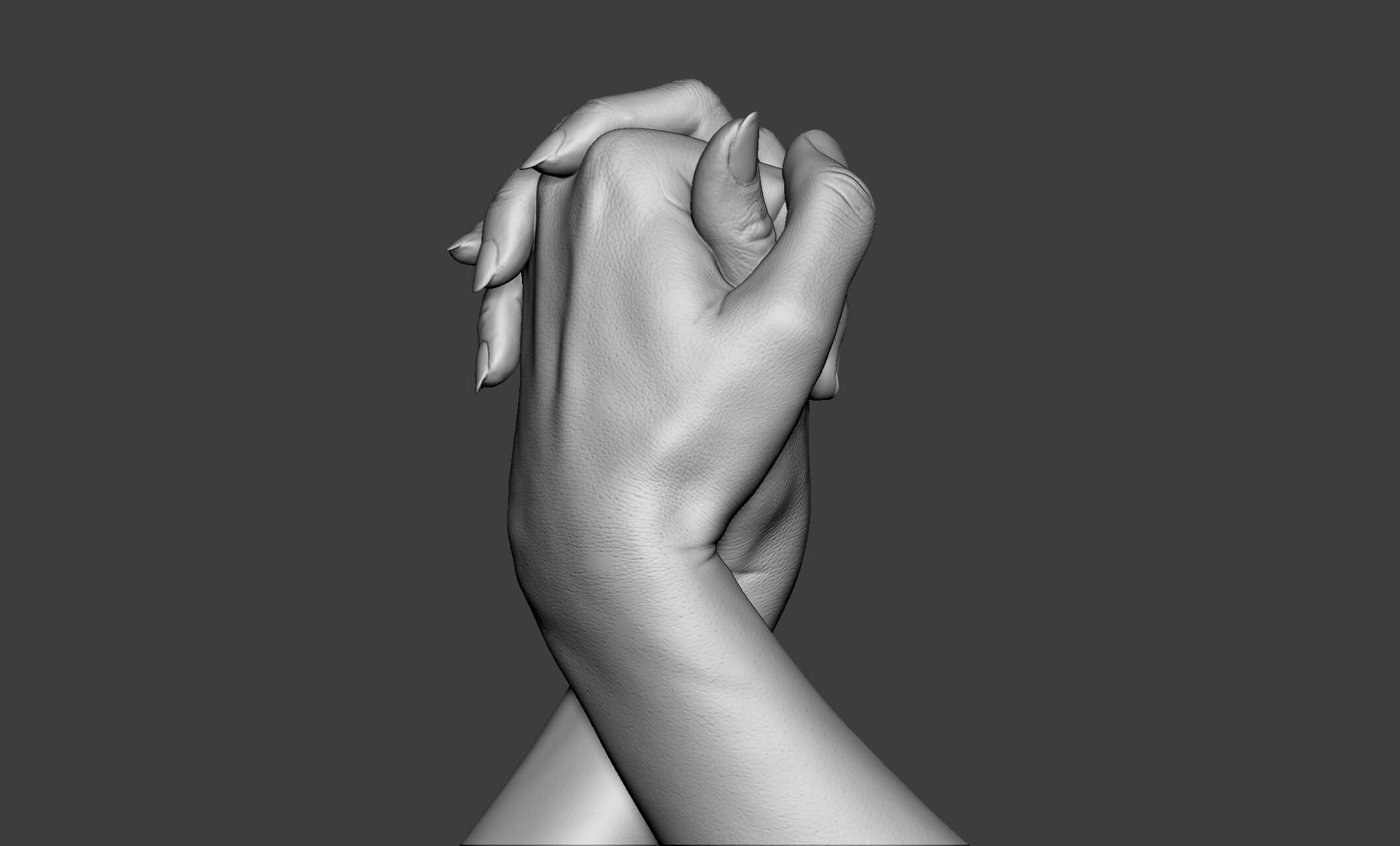 Male and Female Hands 1 - 3D Model by grihaos001