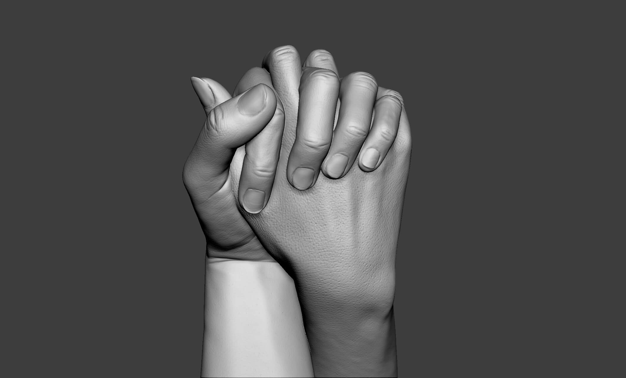 Male and Female Hands 1 - 3D Model by grihaos001