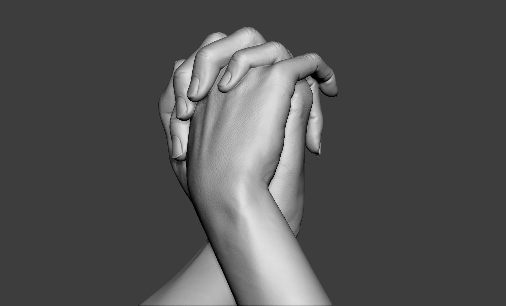 Male and Female Hands 1 - 3D Model by grihaos001