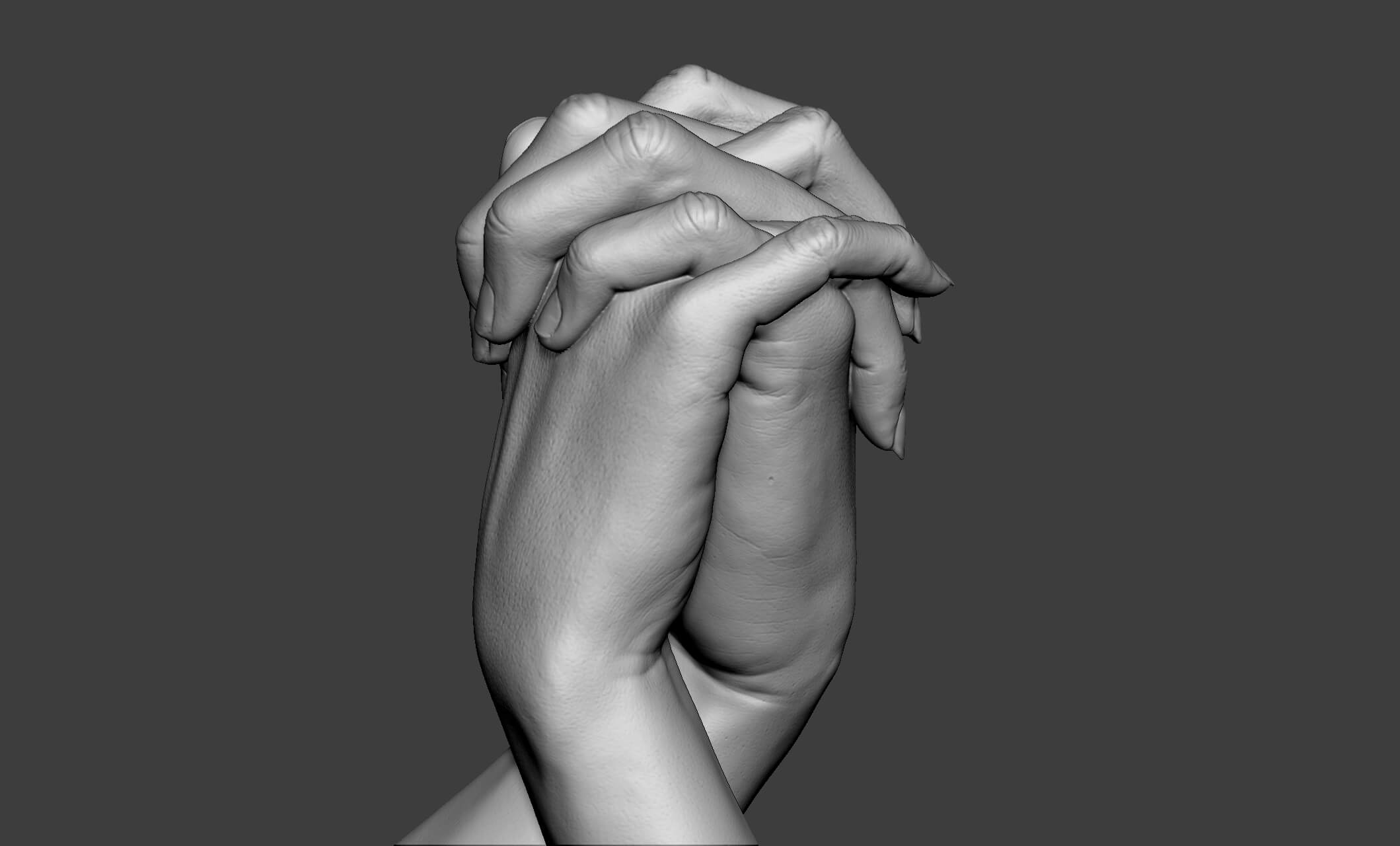 Male and Female Hands 1 - 3D Model by grihaos001