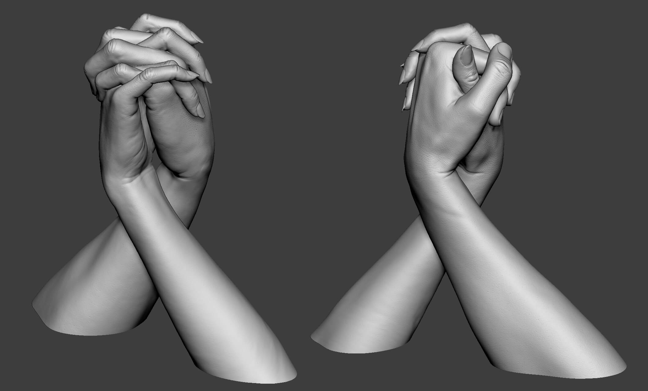 2 X Male And Female 3d Hand Models White 40 Years Old GOT BAG