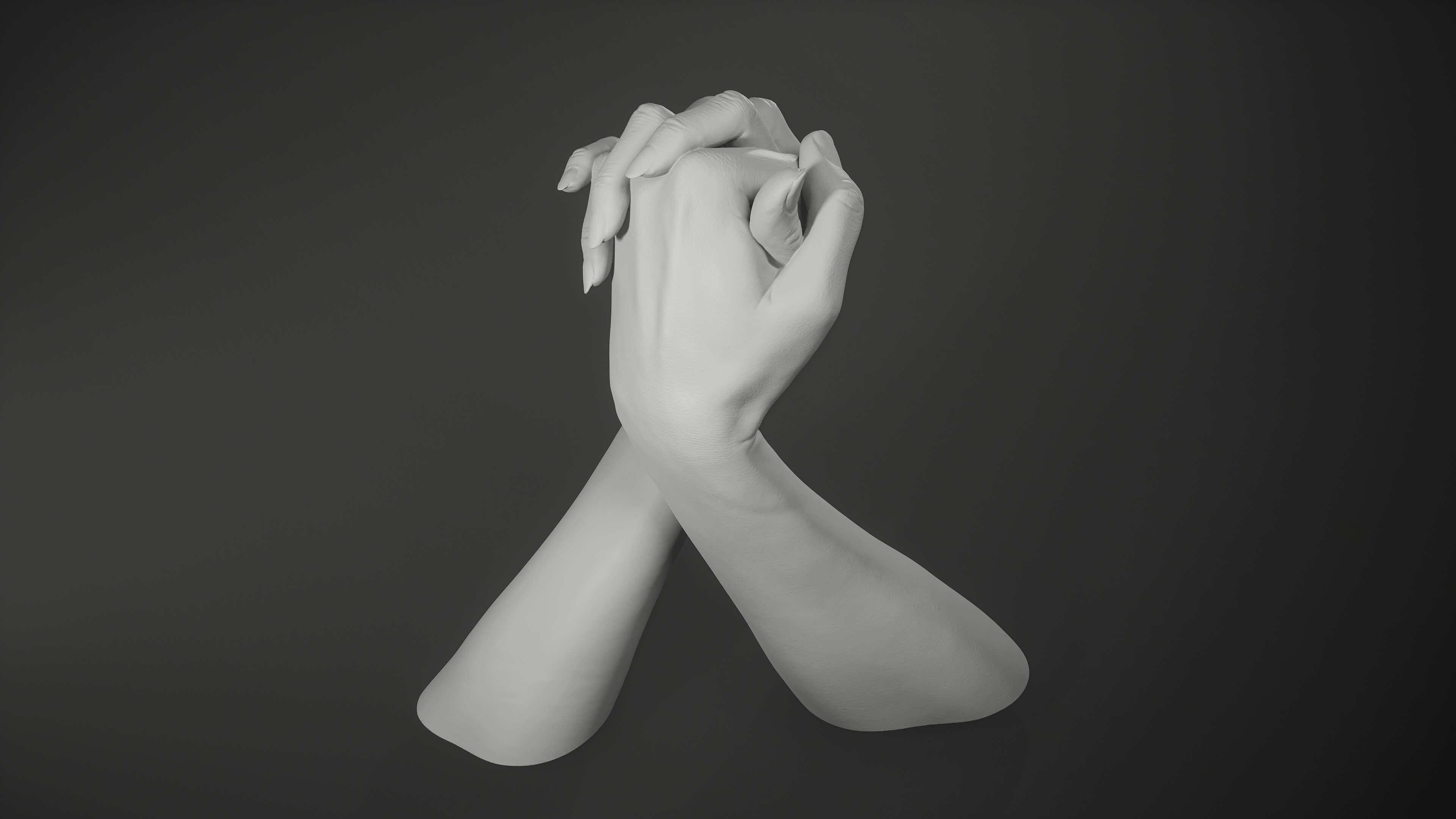 2 X Male And Female 3d Hand Models White 40 Years Old GOT BAG