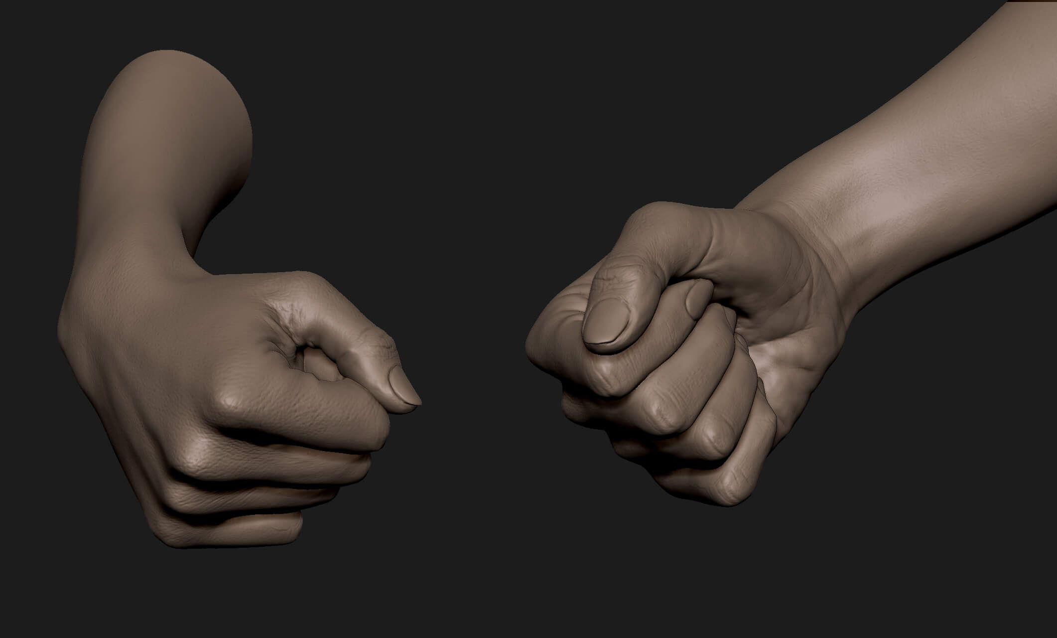 Realistic Female Hand 1 - 3D Model by grihaos001