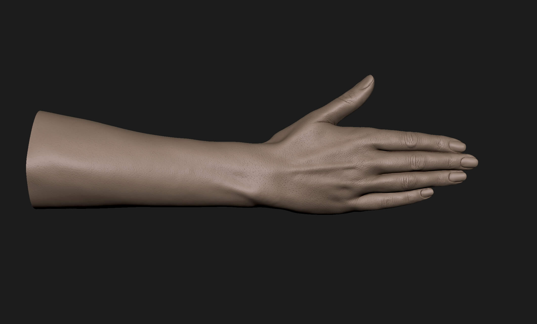 Realistic Female Hand 10 - 3D Model by grihaos001