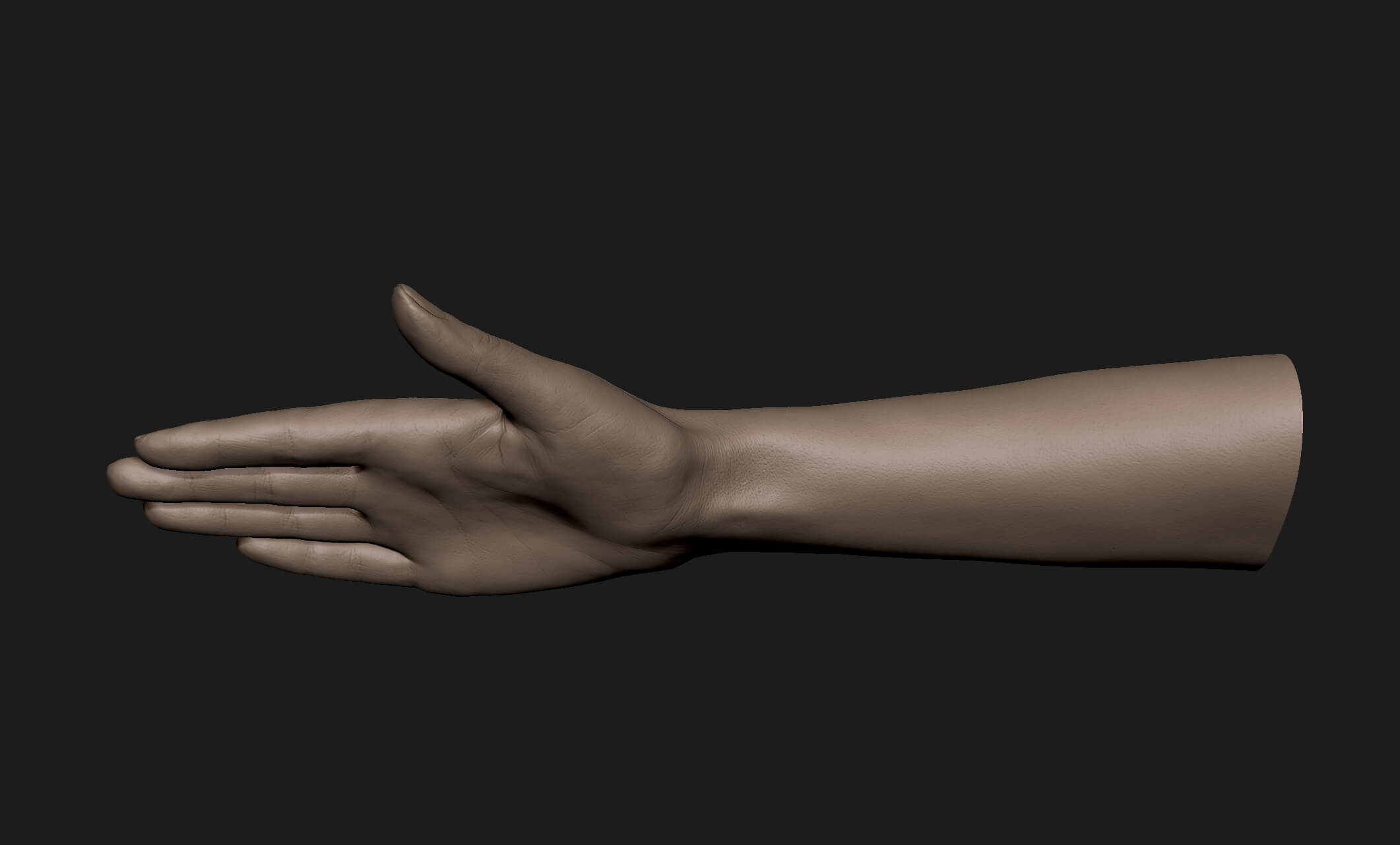 Realistic Female Hand 10 - 3D Model by grihaos001