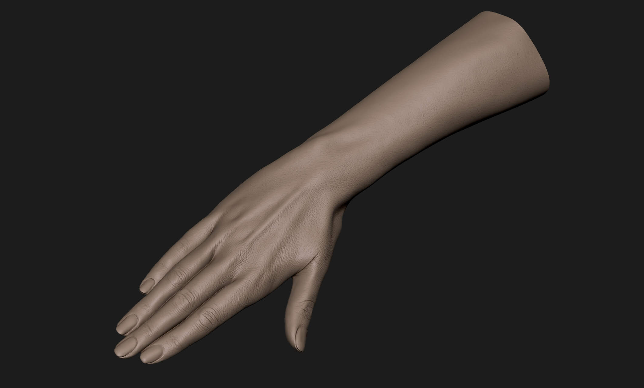 Realistic Female Hand 10 - 3D Model by grihaos001