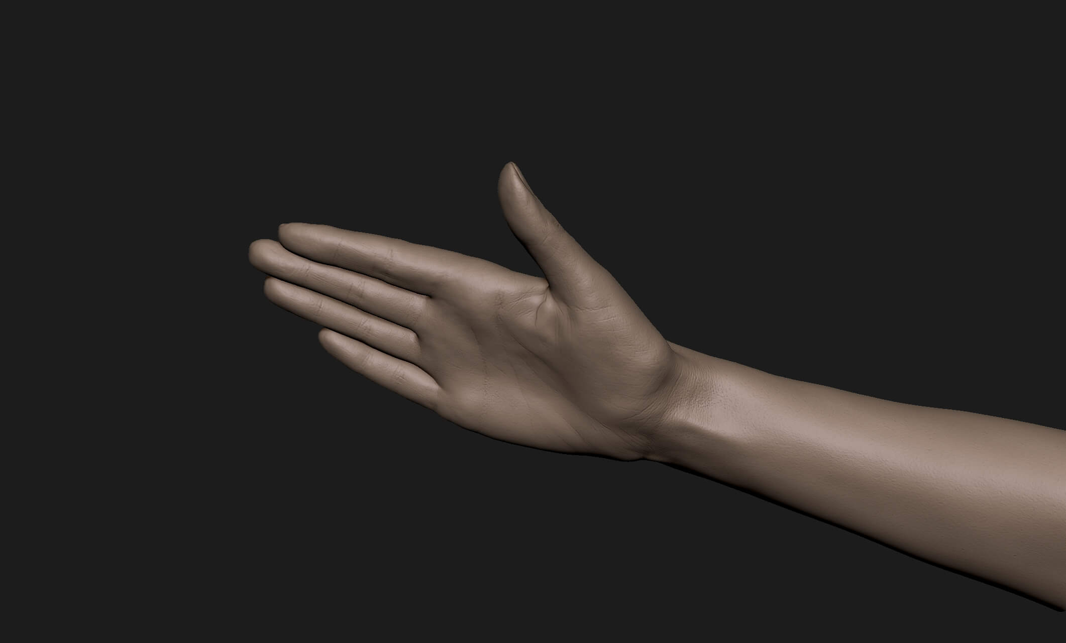 Realistic Female Hand 10 - 3D Model by grihaos001