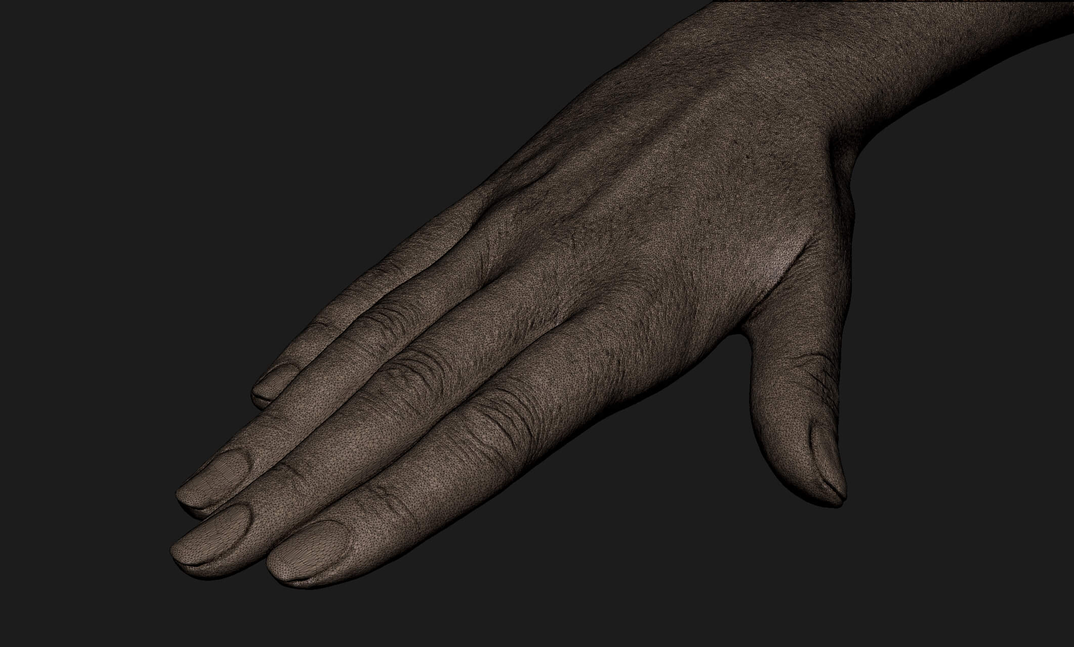 Realistic Female Hand 10 - 3D Model by grihaos001