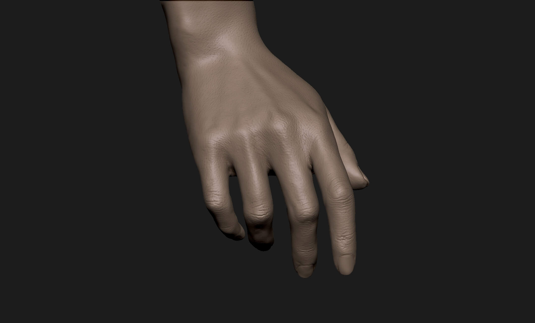 Realistic Female Hand 2 - 3D Print Model by grihaos001