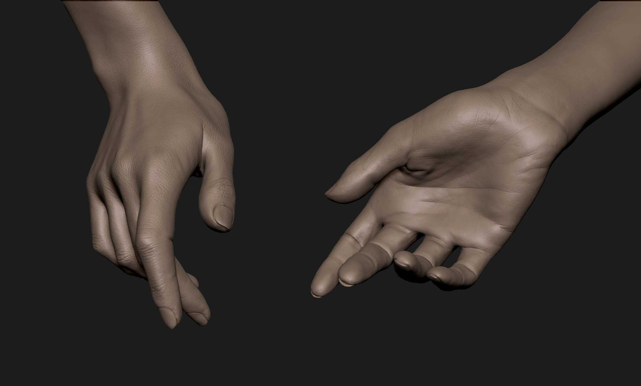 Realistic Female Hand 2 - 3D Print Model by grihaos001
