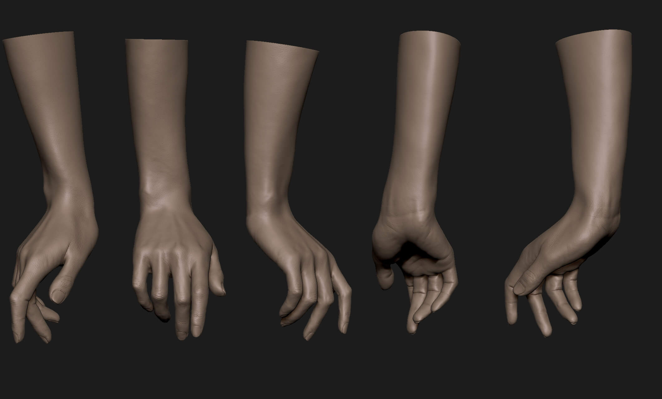 Realistic Female Hand 2 - 3D Model by grihaos001