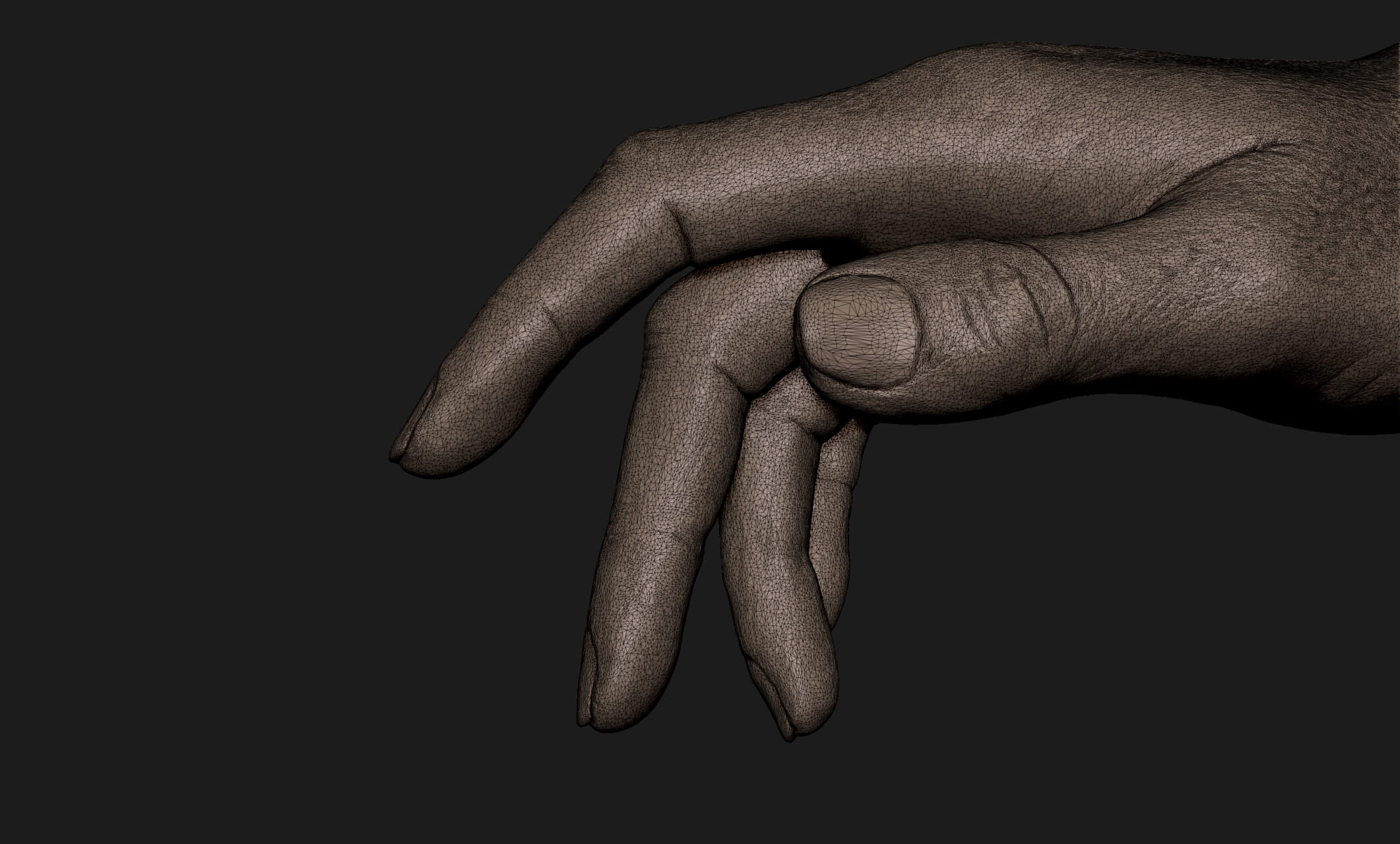 Realistic Female Hand 2 - 3D Print Model by grihaos001