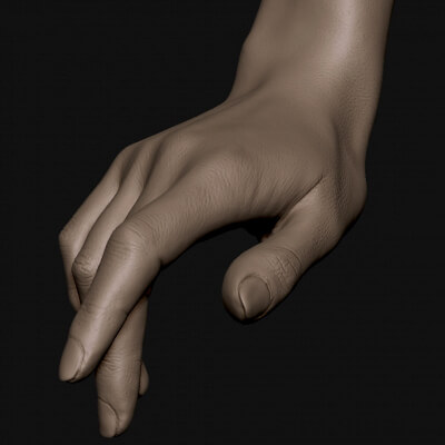 Realistic Female Hand 2 - 3D Model by grihaos001