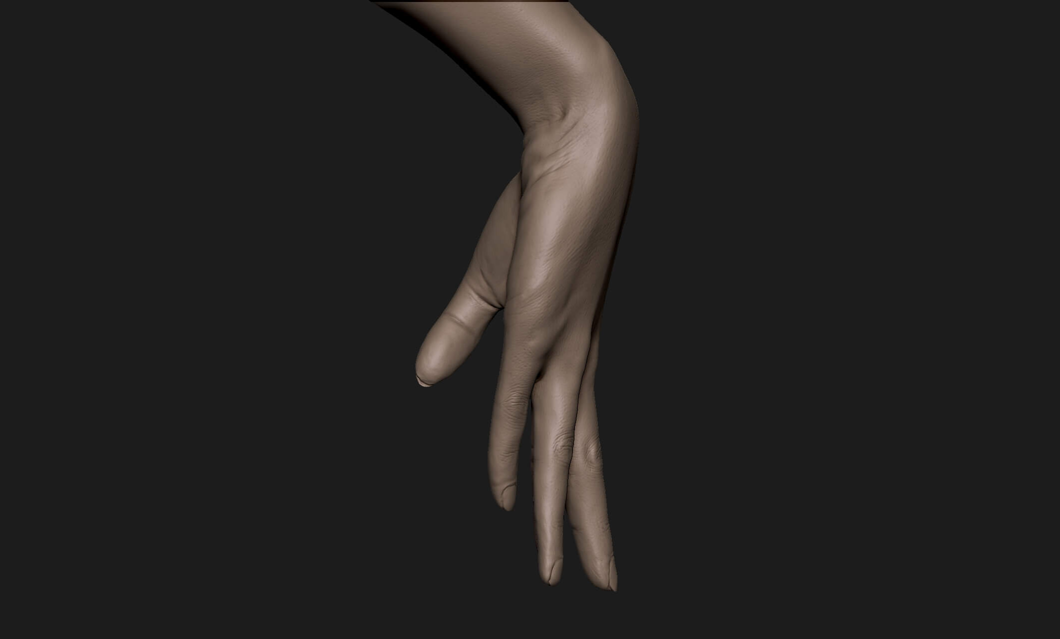 Realistic Female Hand 3 - 3D Model by grihaos001