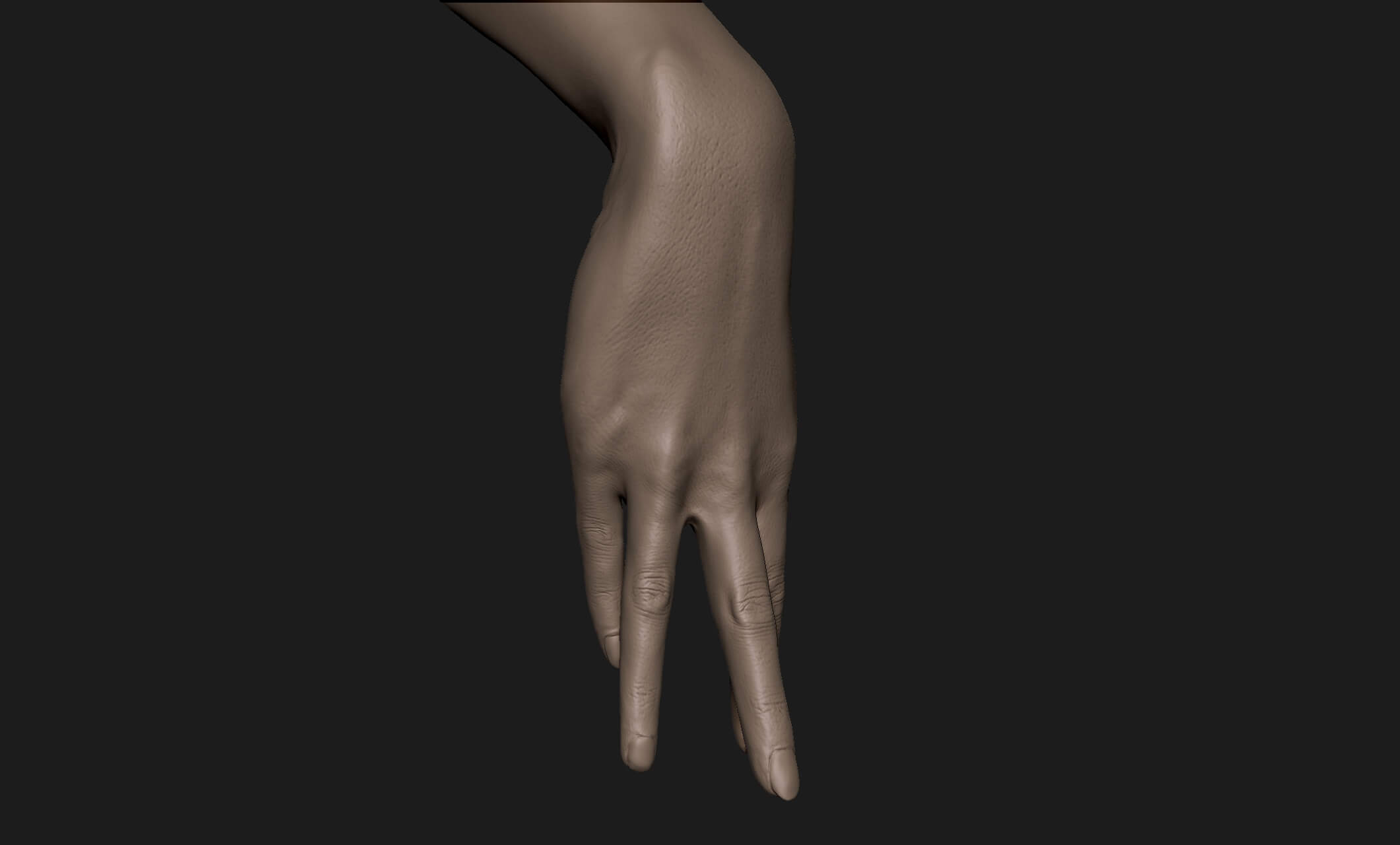 Realistic Female Hand 3 - 3D Model by grihaos001
