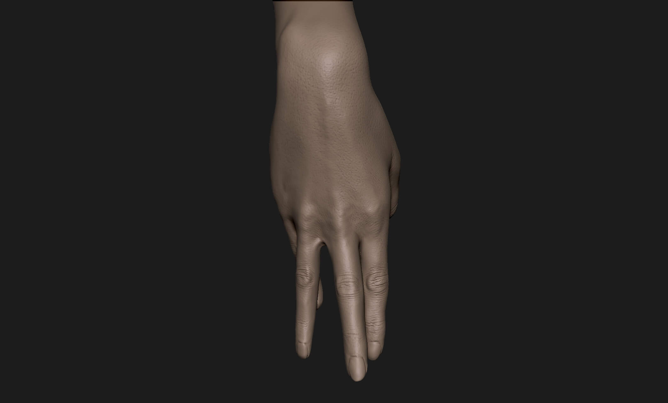 Realistic Female Hand 3 - 3D Model by grihaos001